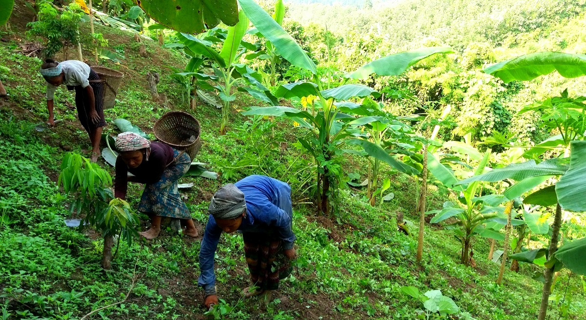 Land, Identity, and Justice: The Struggle for Indigenous Survival in ...